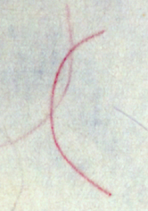 The 5000 Kč banknote - Czech National Bank